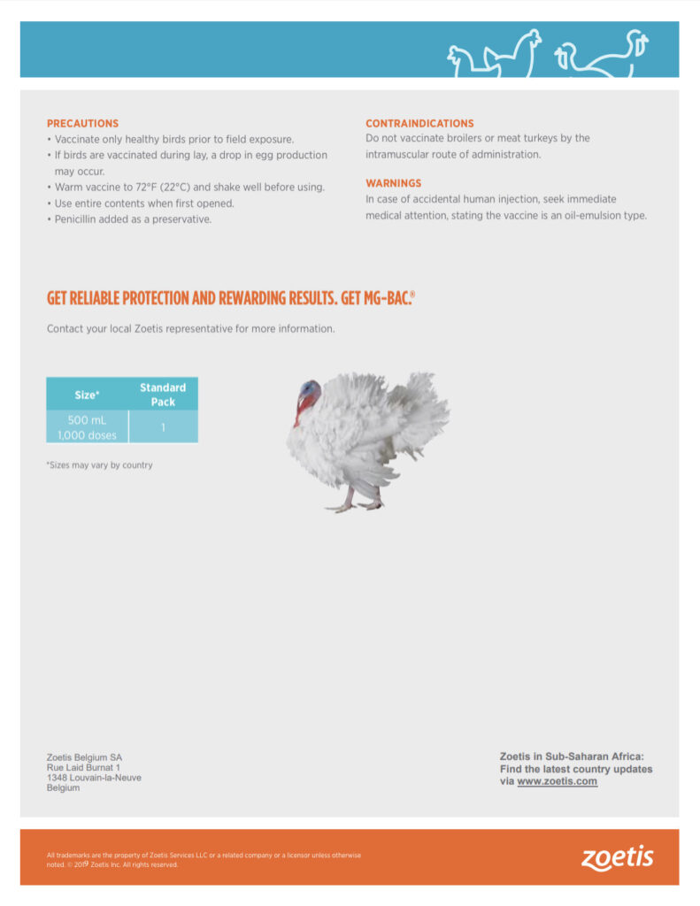 ZOETIS LAUNCH SESSION - LIFA's Blog